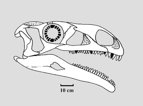 Untitled Document [www.paleofile.com]